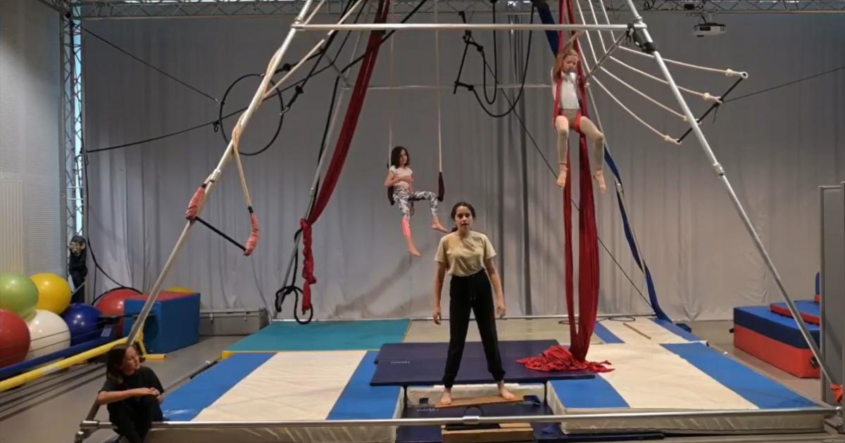 Cirque en scène | Gironde.FR